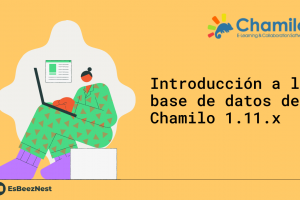 Introducción a la base de datos de Chamilo 1.11.x | BeezNest